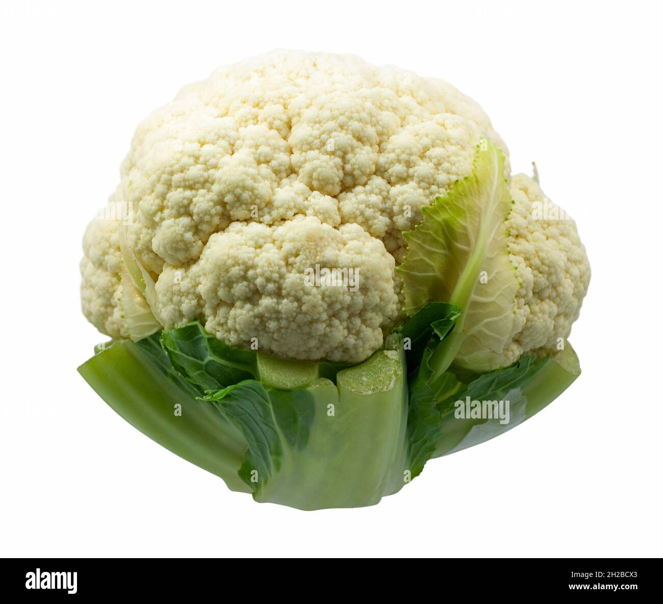 Single cauliflower isolated on white background Stock Photo - Alamy