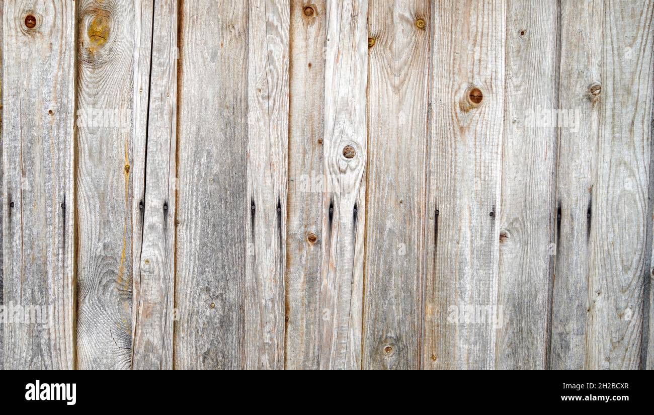 Wood with a fine rustic structure as a background, photographed in ...