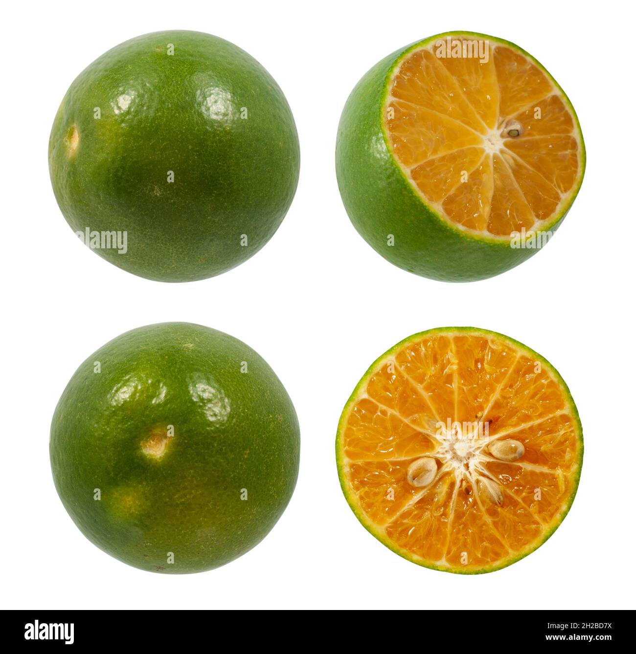 Calamansi or Green orange fruits isolated on white background Stock ...