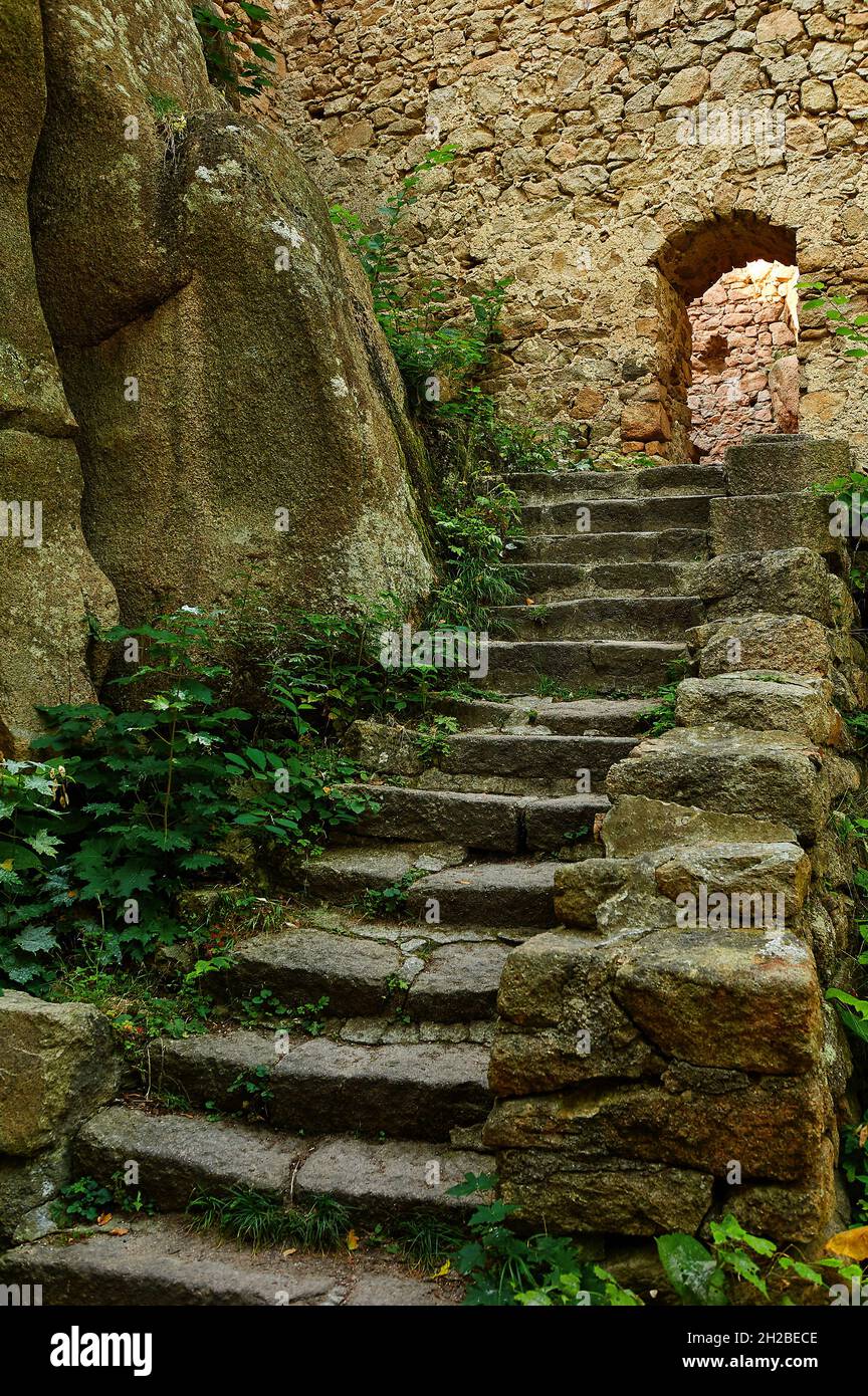 Stone steps in the ruins of a medieval knight's castle Stock Photo - Alamy