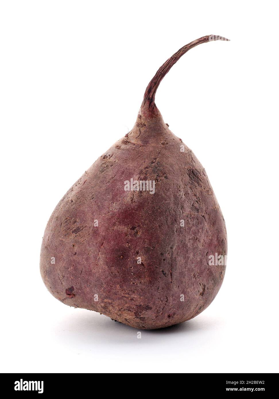 Organic beet on white background. Taproot vegetable Stock Photo - Alamy