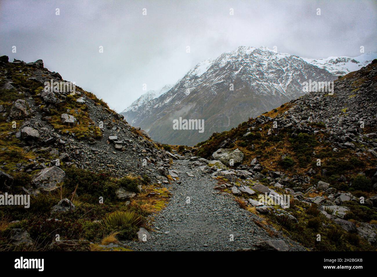 Kea point track hi-res stock photography and images - Alamy