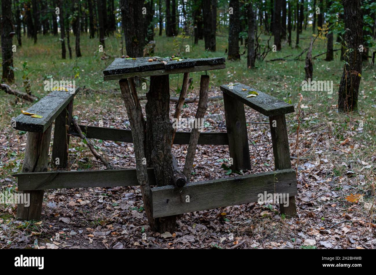 wooden table and benches standing in the forest. High quality photo ...