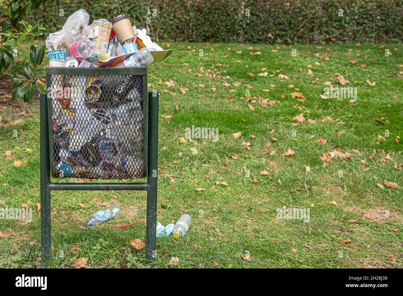Public park with green grass and a bin with overflowing litter Stock ...