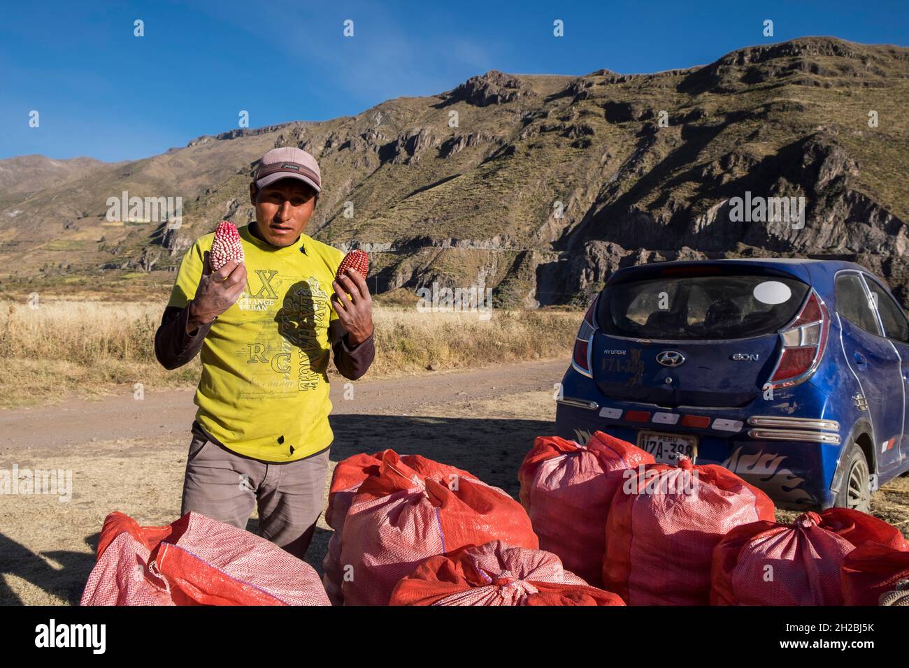 Peru, Coporaque, farmer working in the fields Stock Photo - Alamy