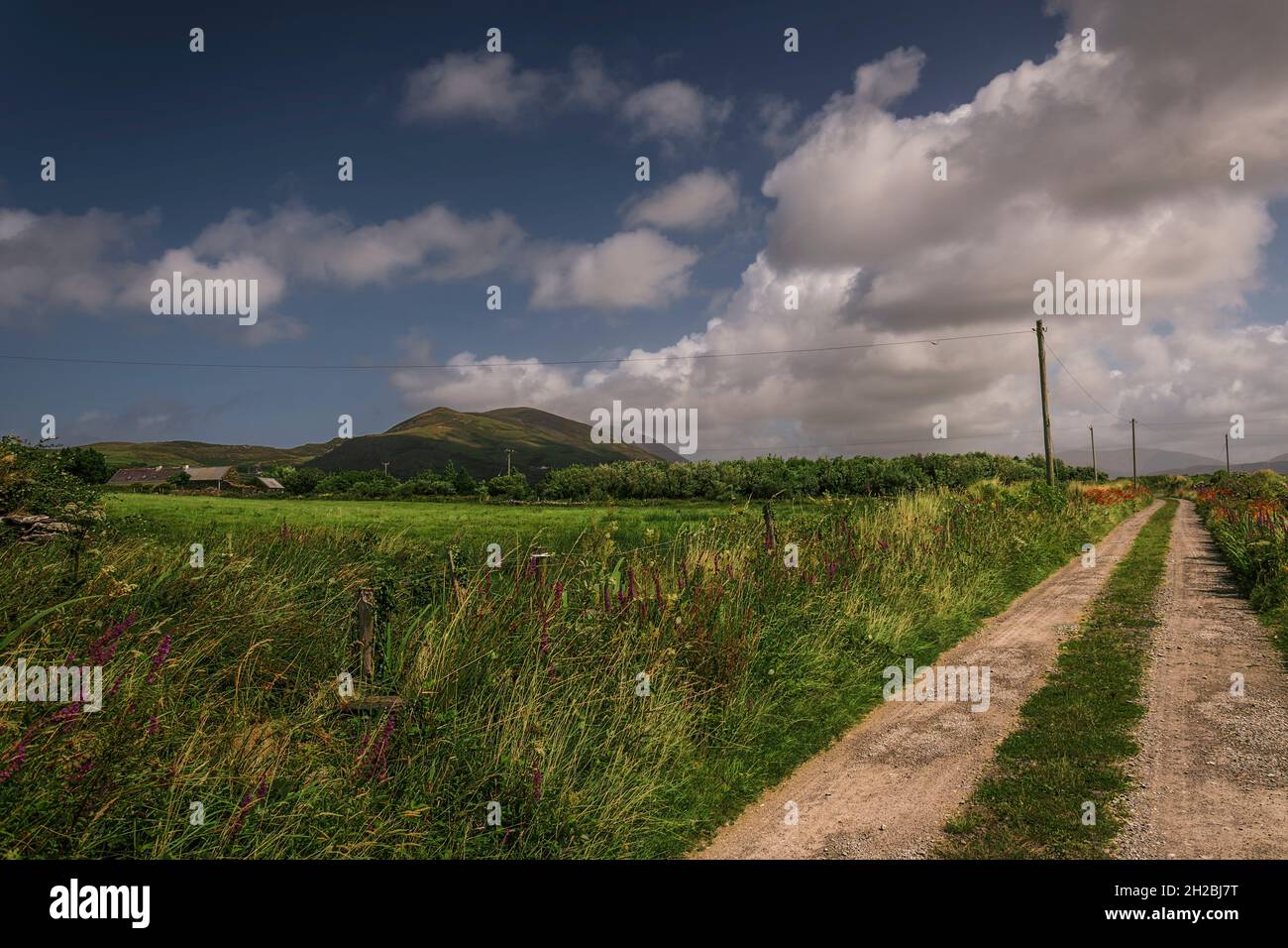 Irish landscapes. The rural road at co. Kerry. Ireland Stock Photo - Alamy