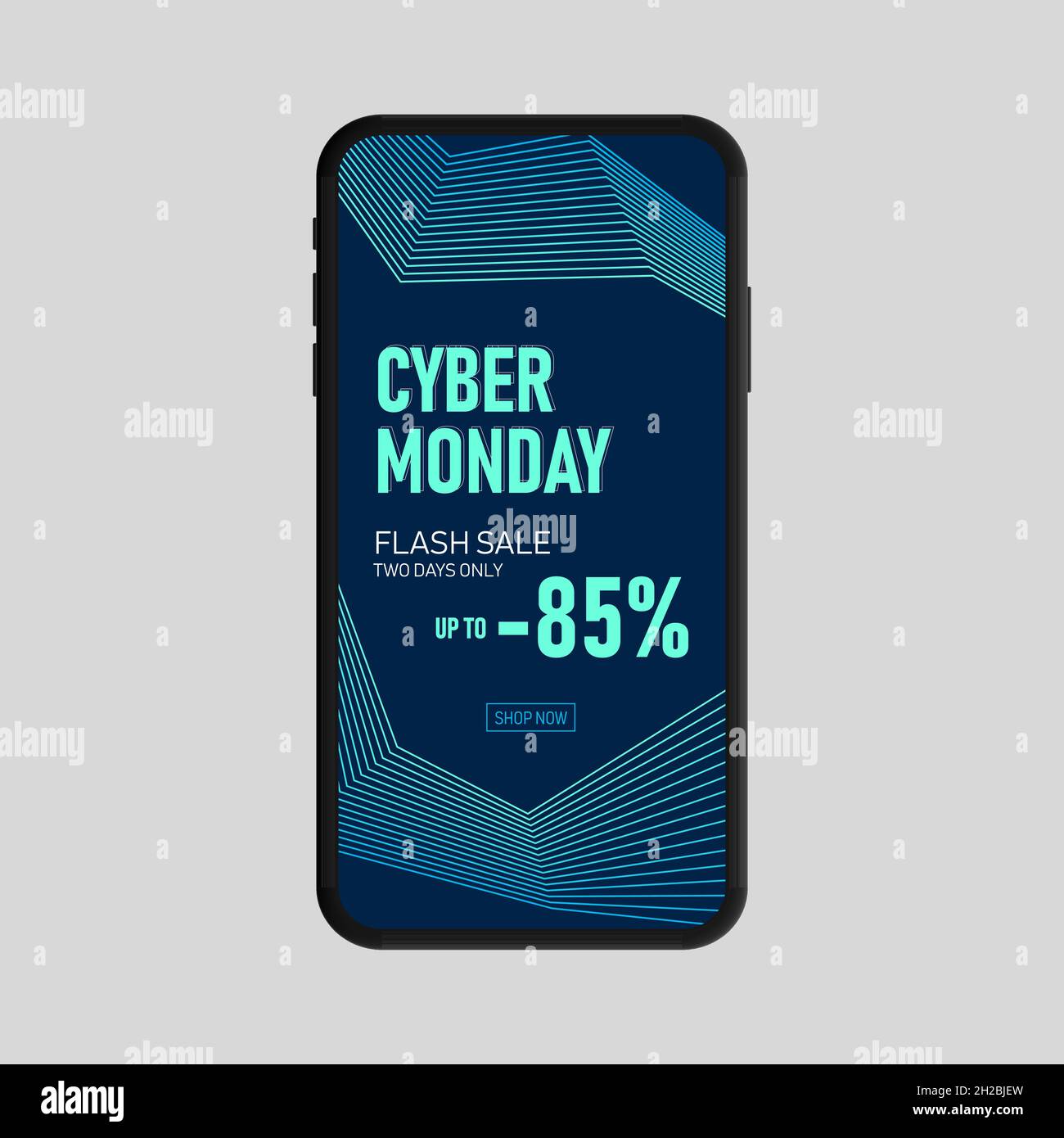 Cyber Monday flash sale two days only. Vector illustration Stock Vector ...