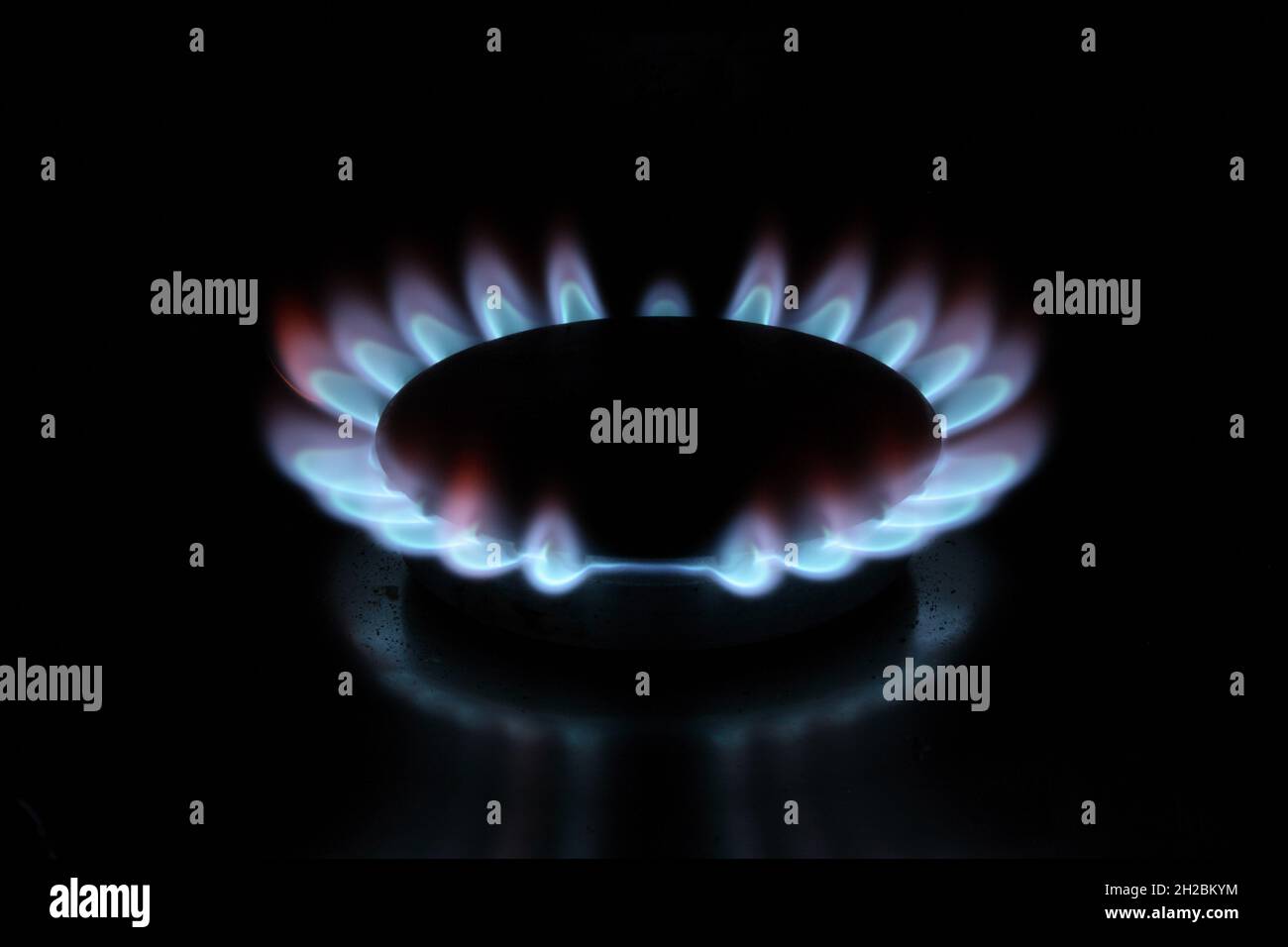 Cooking on Gas - Flames from a Gas Hob Burner Stock Photo - Alamy