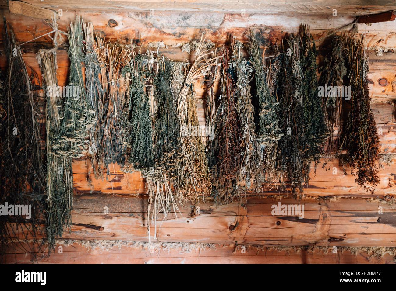 Slavian hi-res stock photography and images - Alamy