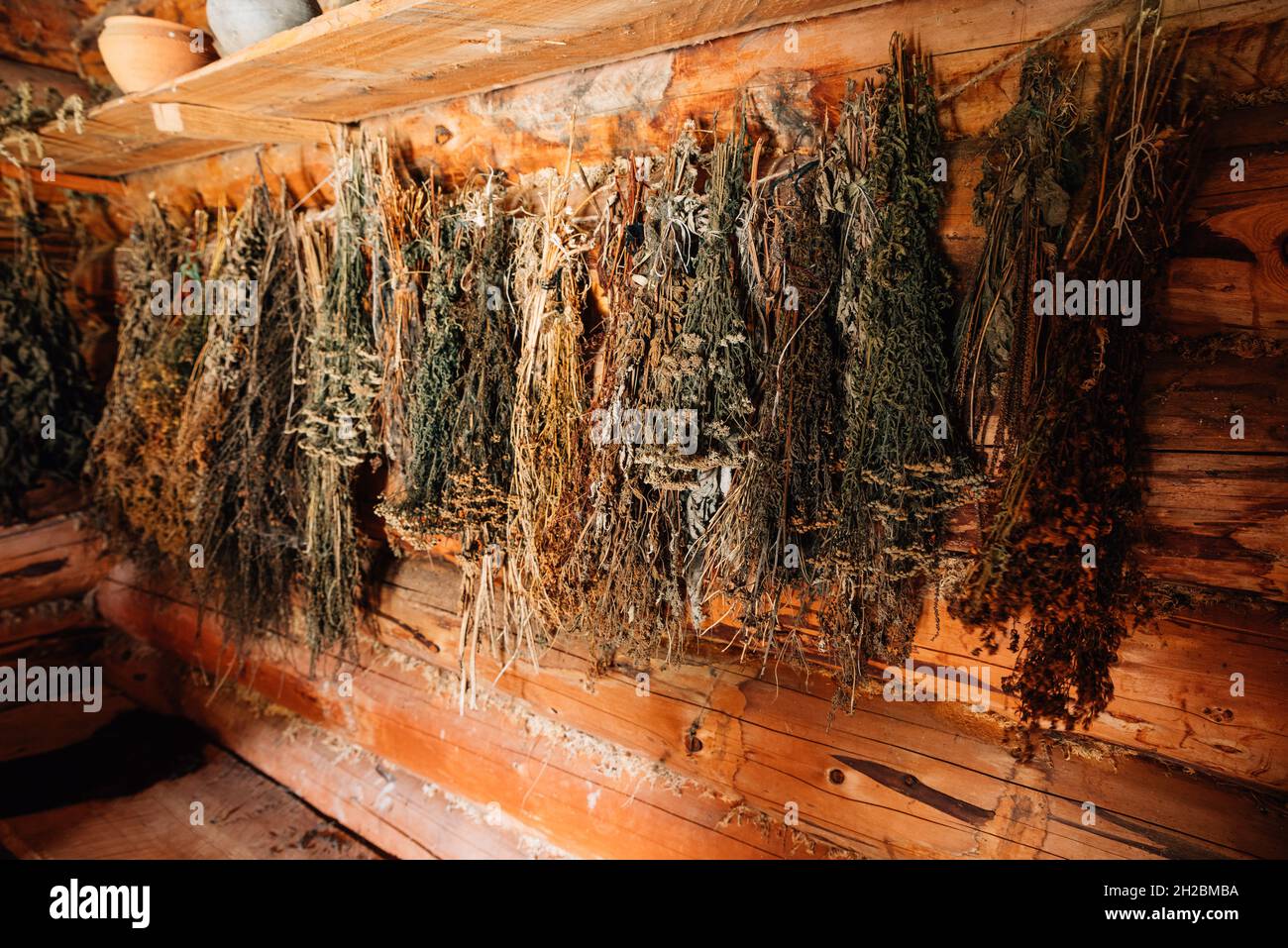 SLAVIAN STOCK OF SŁAWUTOWO Stock Photo - Alamy