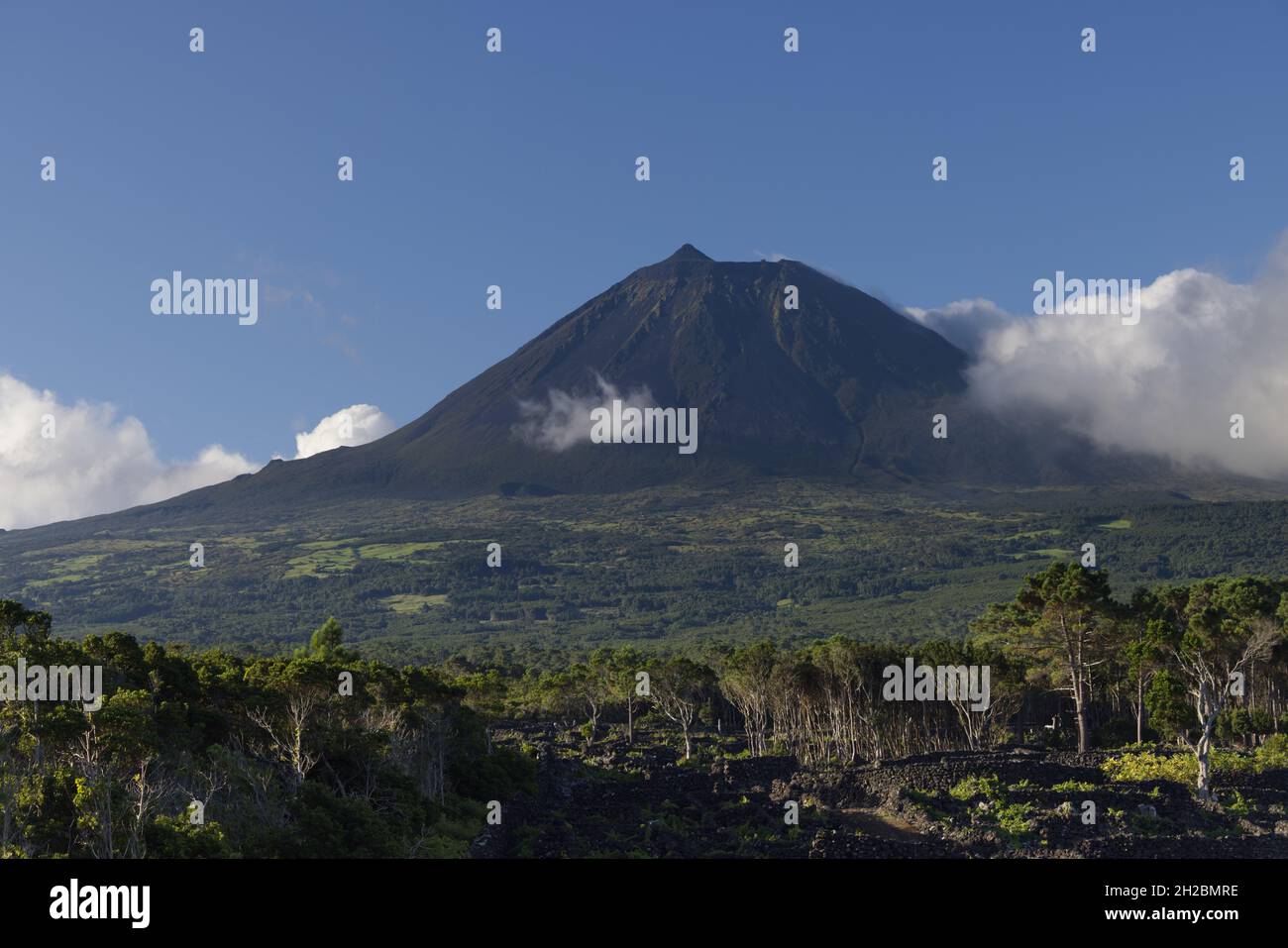 Typical landscape of the island of Pico with the mountain Pico in the ...