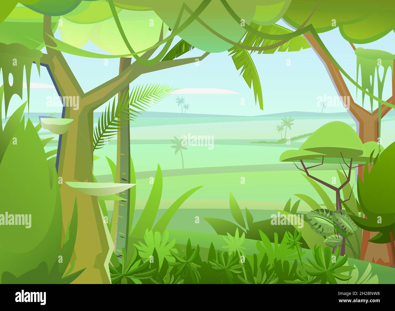 Rainforest tree. Dense thickets. View from the jungle forest. Southern ...