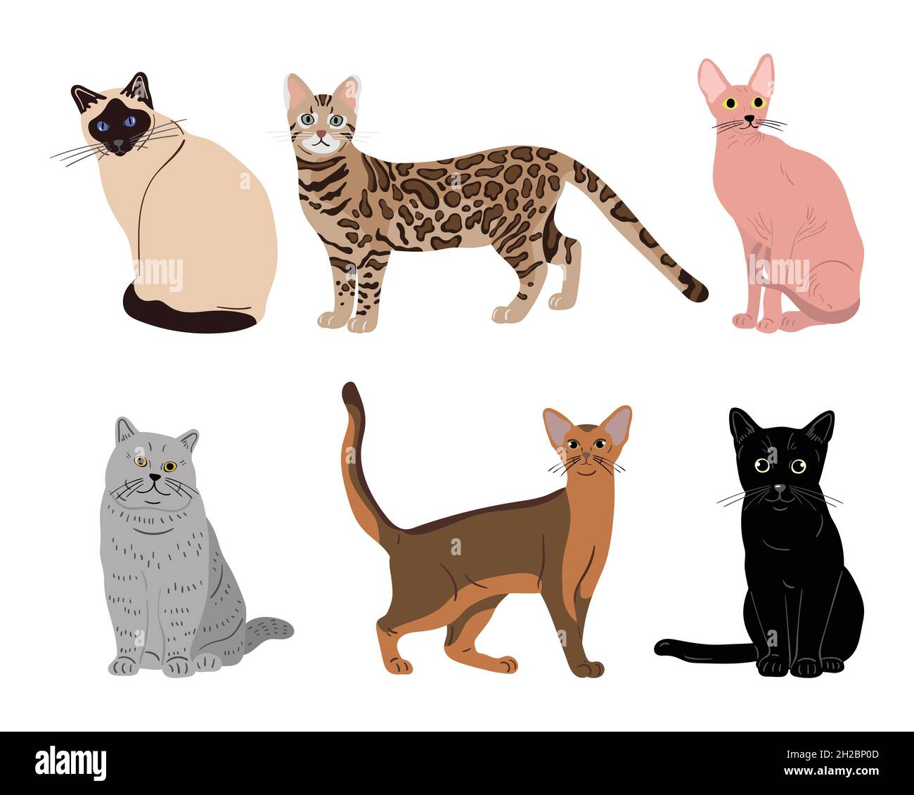 Illustrated cats set Stock Vector Image & Art - Alamy