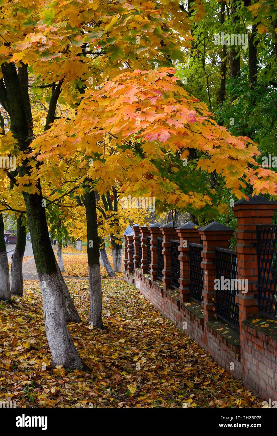 Natural beauty of suzdal hi-res stock photography and images - Alamy