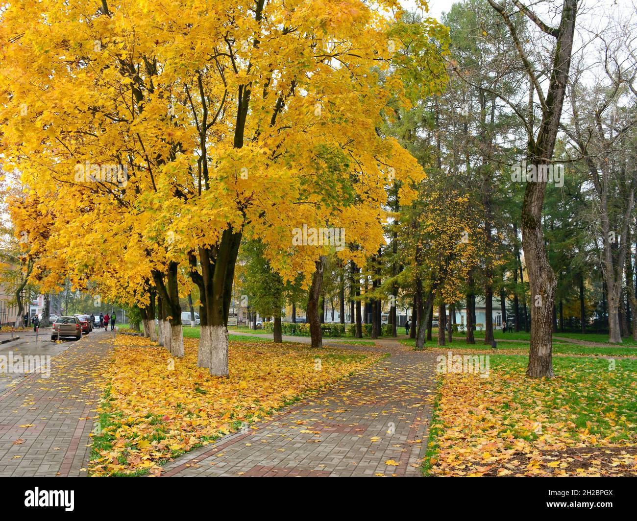 Autumn scenery in Suzdal Town, Russia. Suzdal is the main towns of the ...