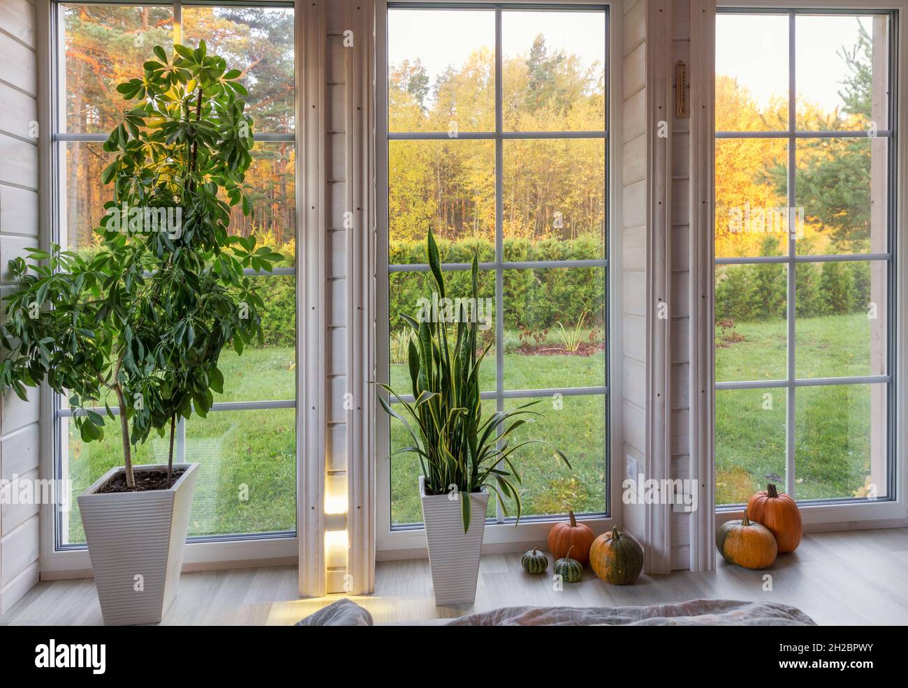 Bright photo studio interior with big window, high ceiling, white ...