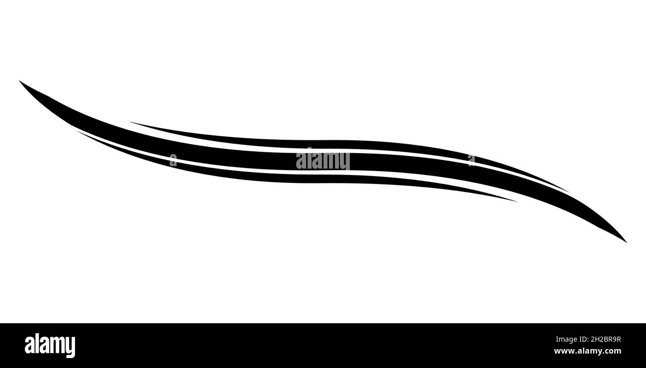 Calligraphy Lines Vector