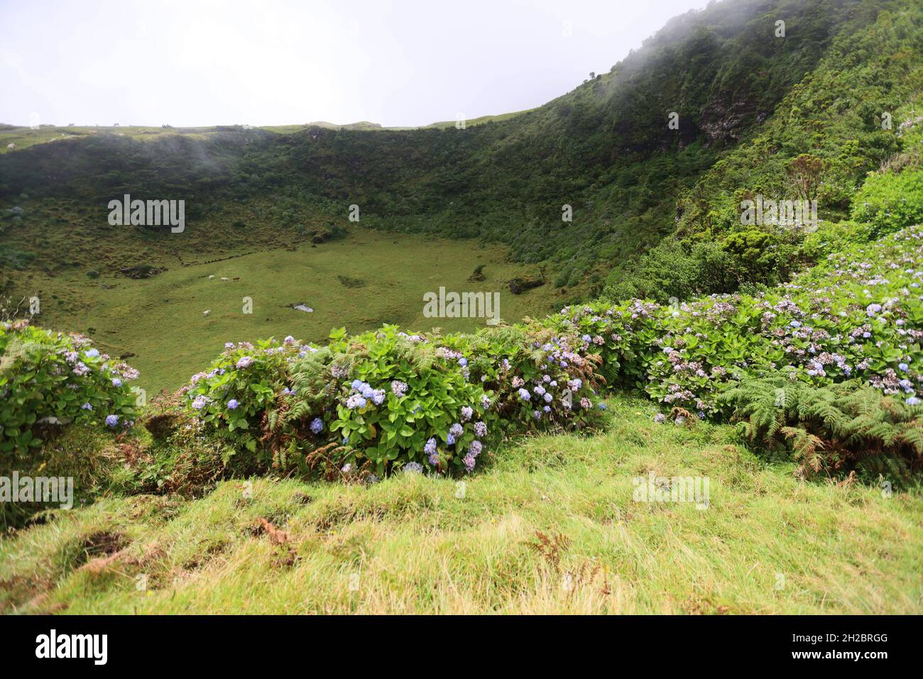 Characteristic landscape of the island of Pico, Azores Stock Photo - Alamy