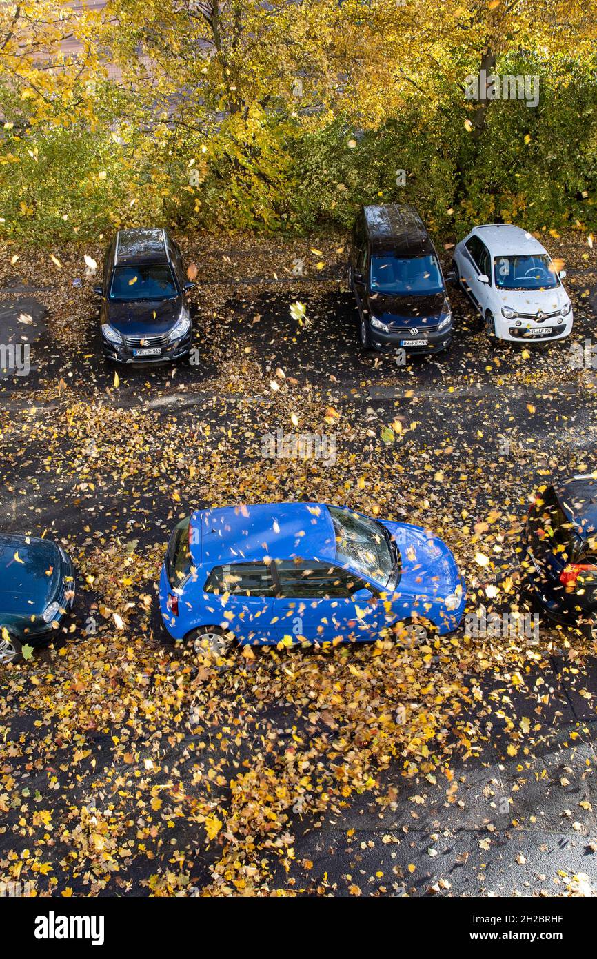 Freital, Germany. 21st Oct, 2021. A gust of wind blows along a blue VW ...