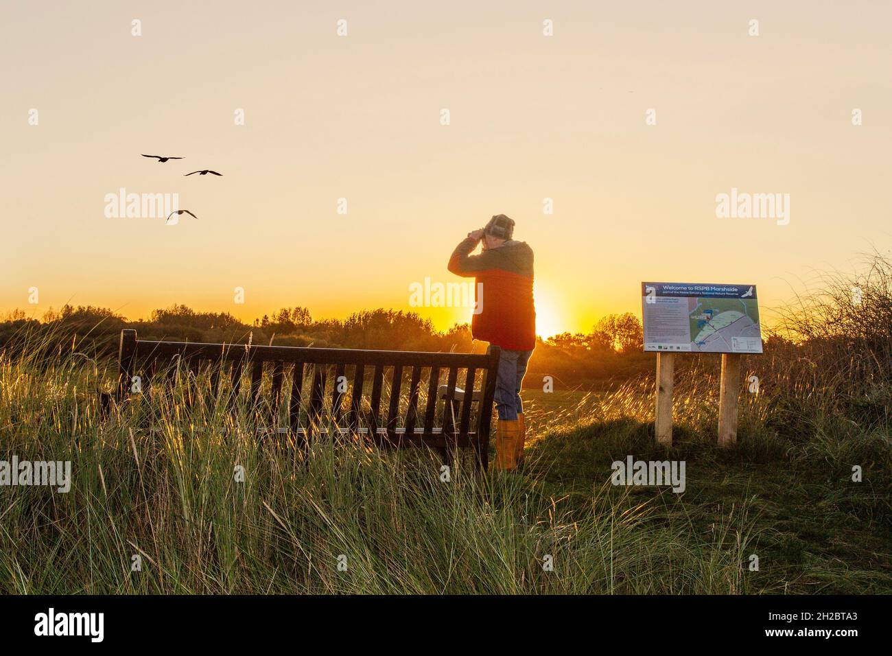 Wildlife & sunrise in Southport, Merseyside. UK Weather. 21 Oct 2021 ...