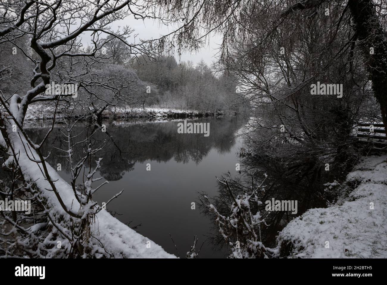 Winter scenic landscape in the ribble valley, lancashire. Snowy trees ...