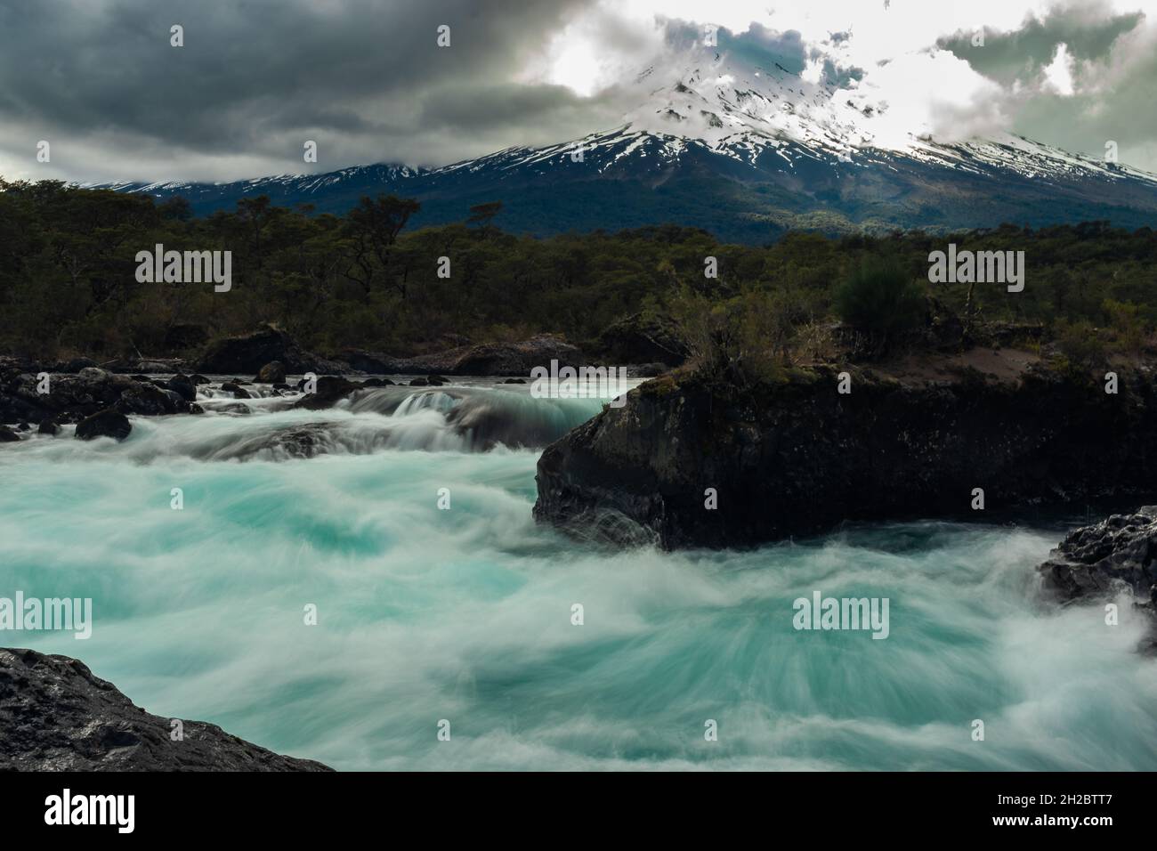 Foamy cascades of Petrohue Waterfalls flowing through the woods in ...
