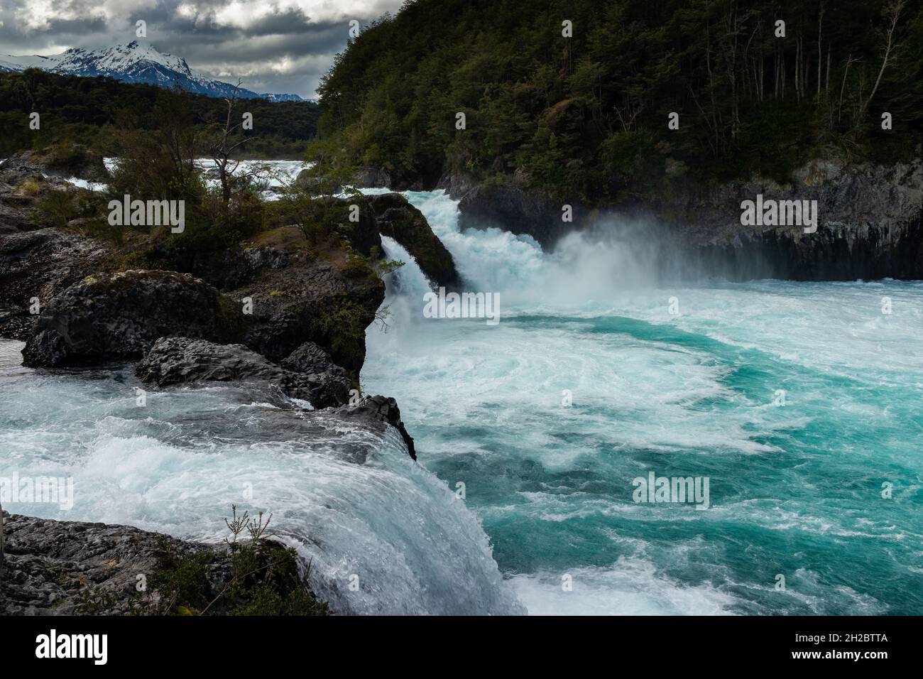 Foamy cascades of Petrohue Waterfalls flowing through the woods in ...