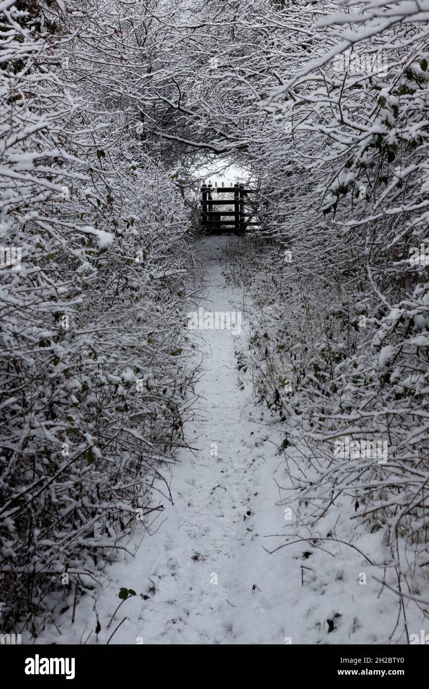 Ribble valley walks hi-res stock photography and images - Alamy