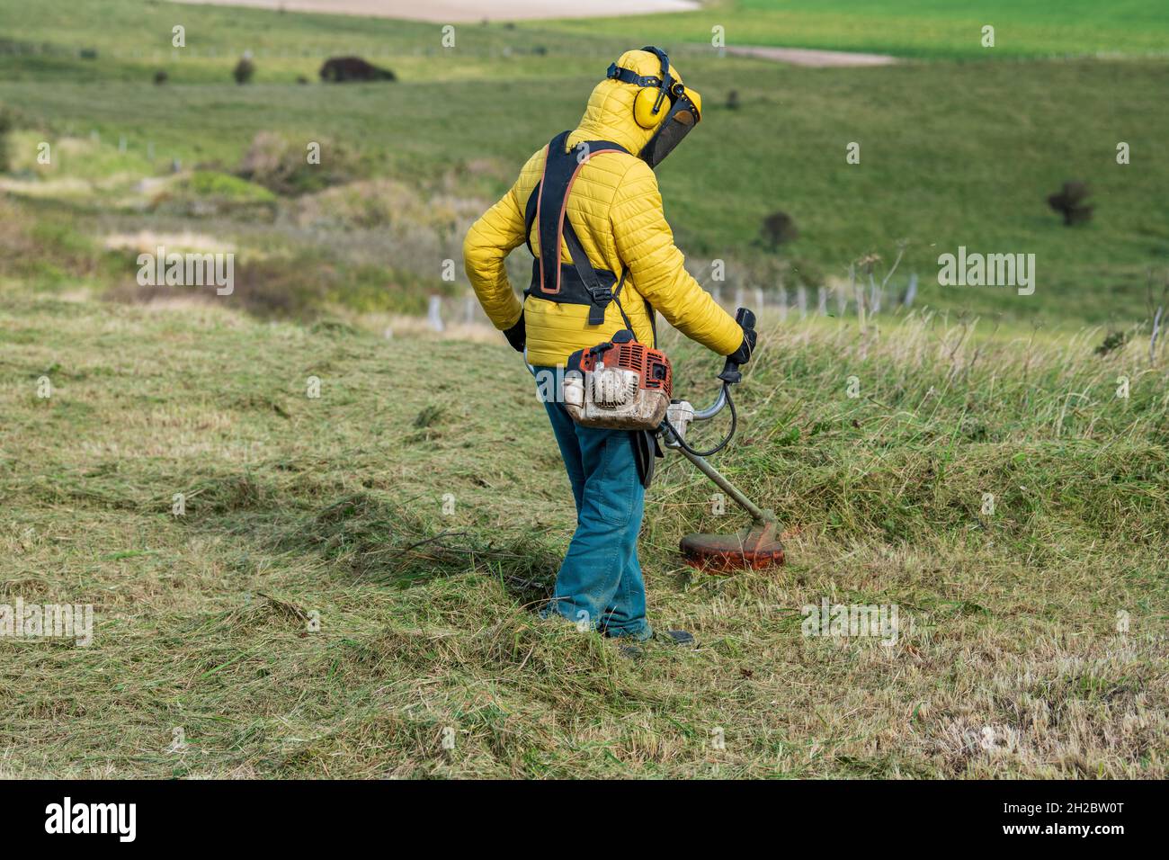 mowing a meadow using an electric brush cutter Stock Photo - Alamy