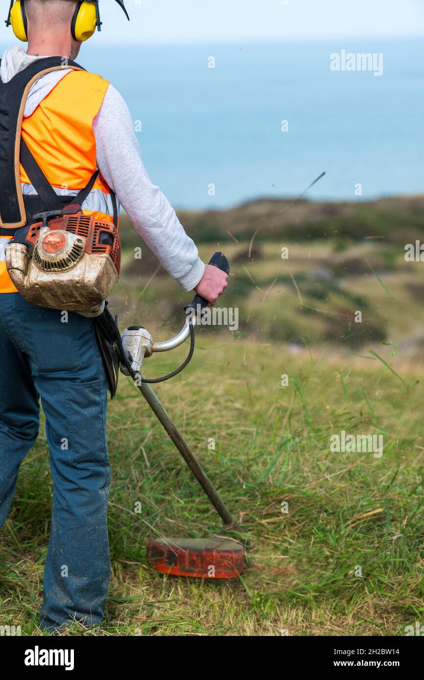 mowing a meadow using an electric brush cutter Stock Photo - Alamy