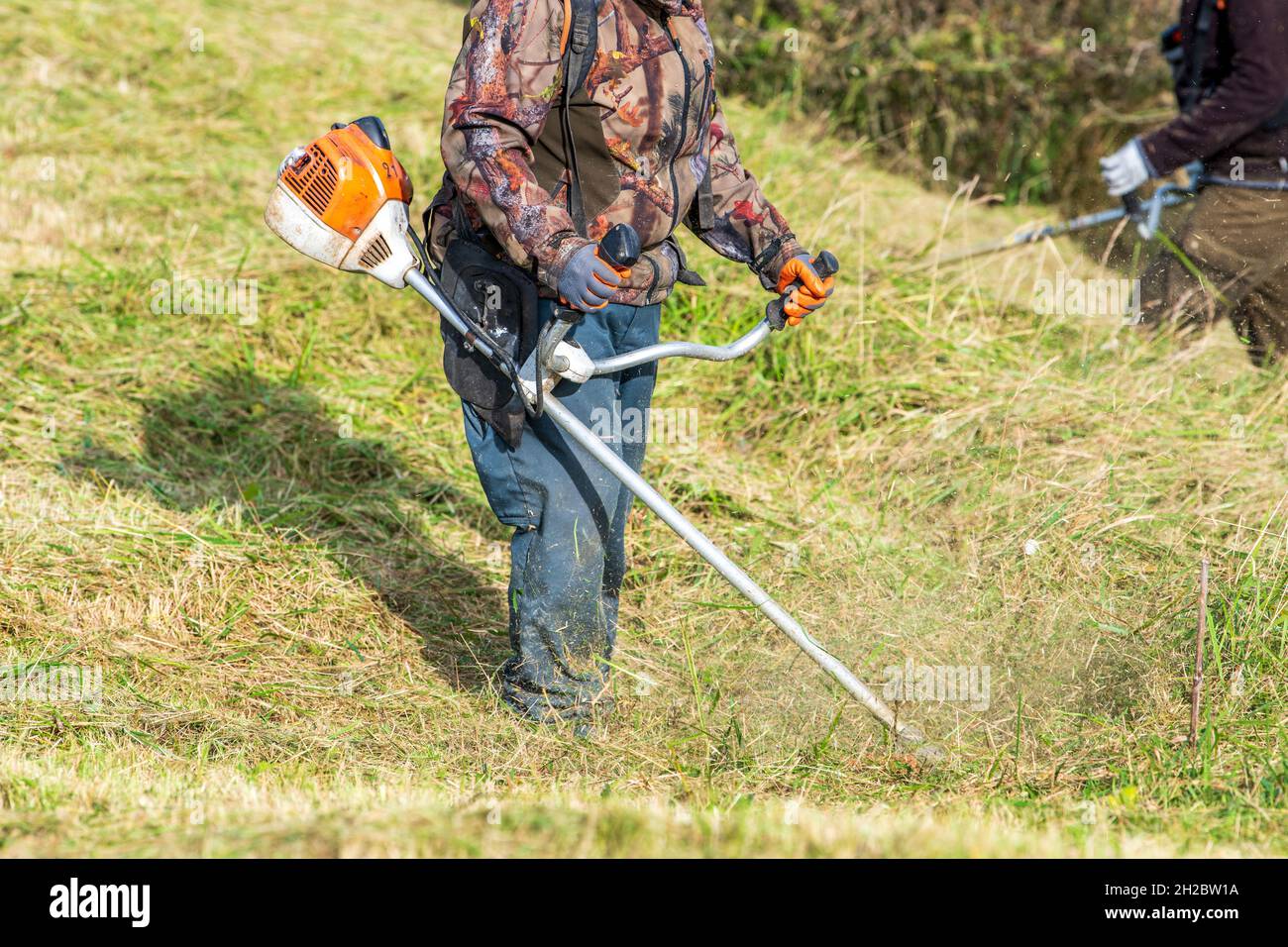 mowing a meadow using an electric brush cutter Stock Photo - Alamy