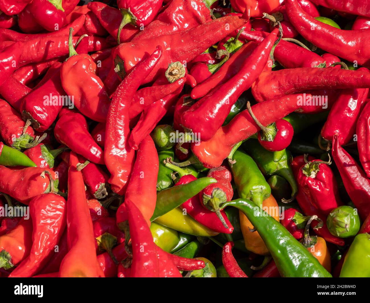 Red and Green Chili Texture Background Stock Photo - Alamy