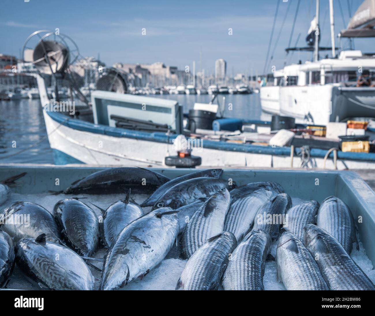 Old fish market close hi-res stock photography and images - Alamy
