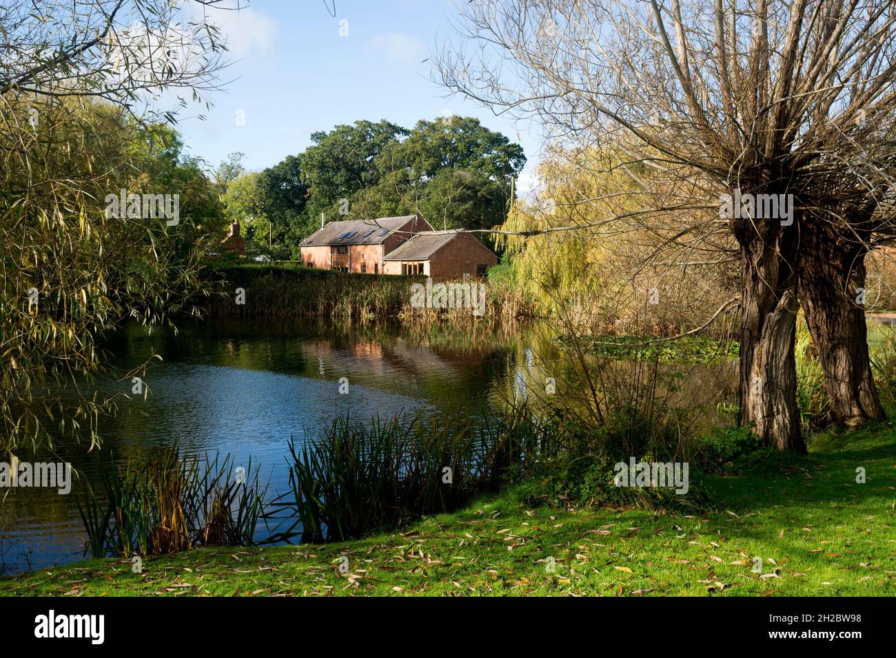 The village pond, Idlicote, Warwickshire, England, UK Stock Photo - Alamy