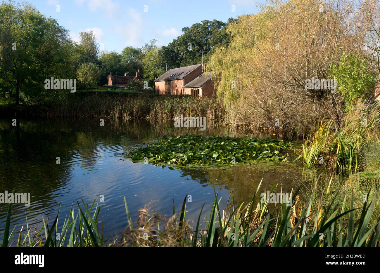 The village pond, Idlicote, Warwickshire, England, UK Stock Photo - Alamy