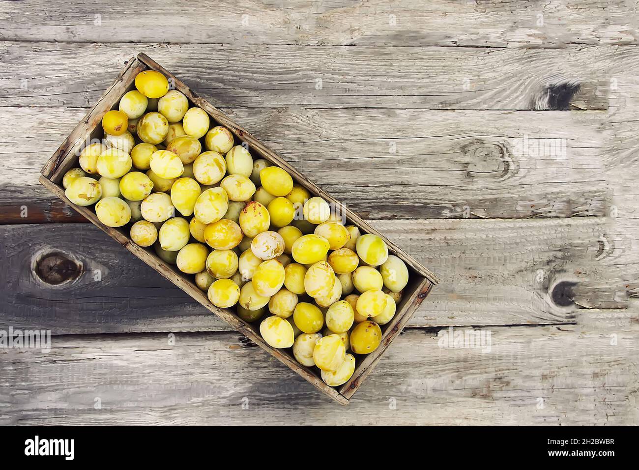 Fresh yellow plums. Ripe fruits in a wooden box in summer garden Stock ...