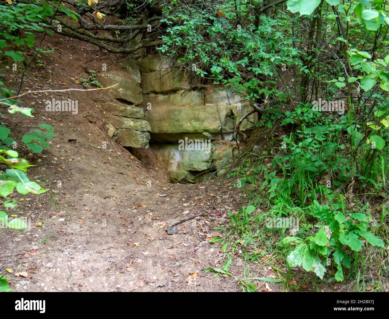 entrance to a small cave, in summer Stock Photo - Alamy