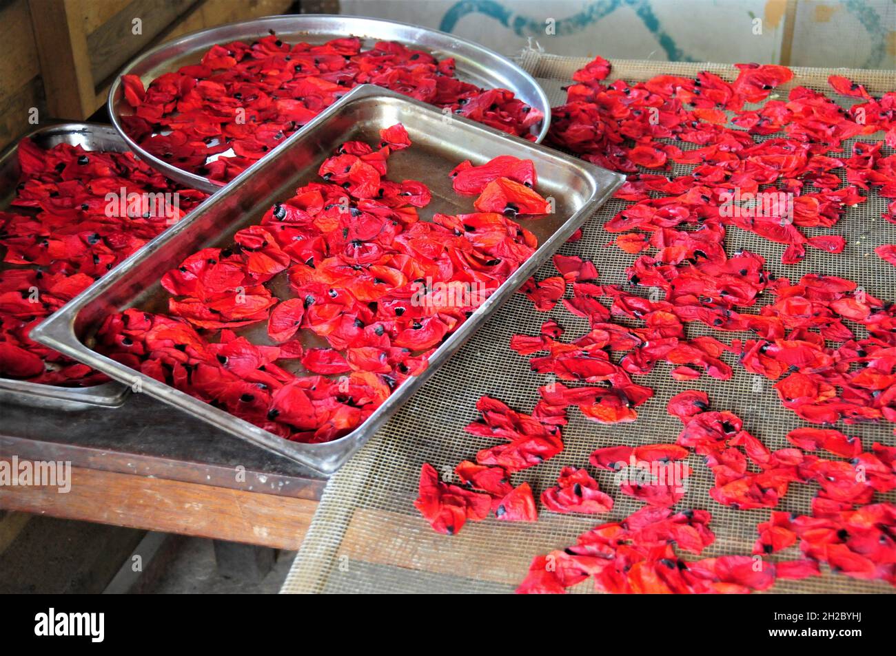 poppy flowers are dried for tea Stock Photo - Alamy