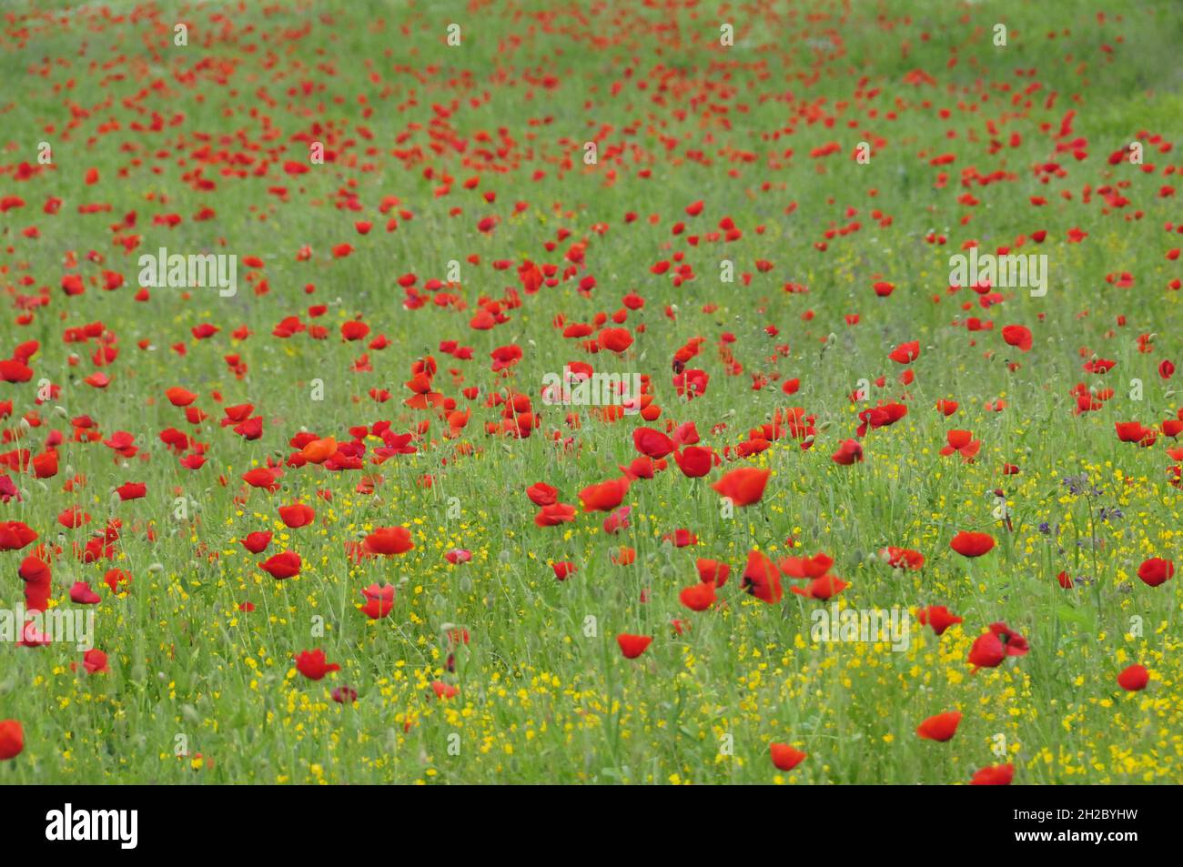 Touch colorful stones hi-res stock photography and images - Alamy