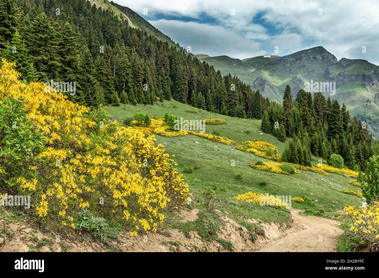 A mountain village in Artvin Stock Photo - Alamy