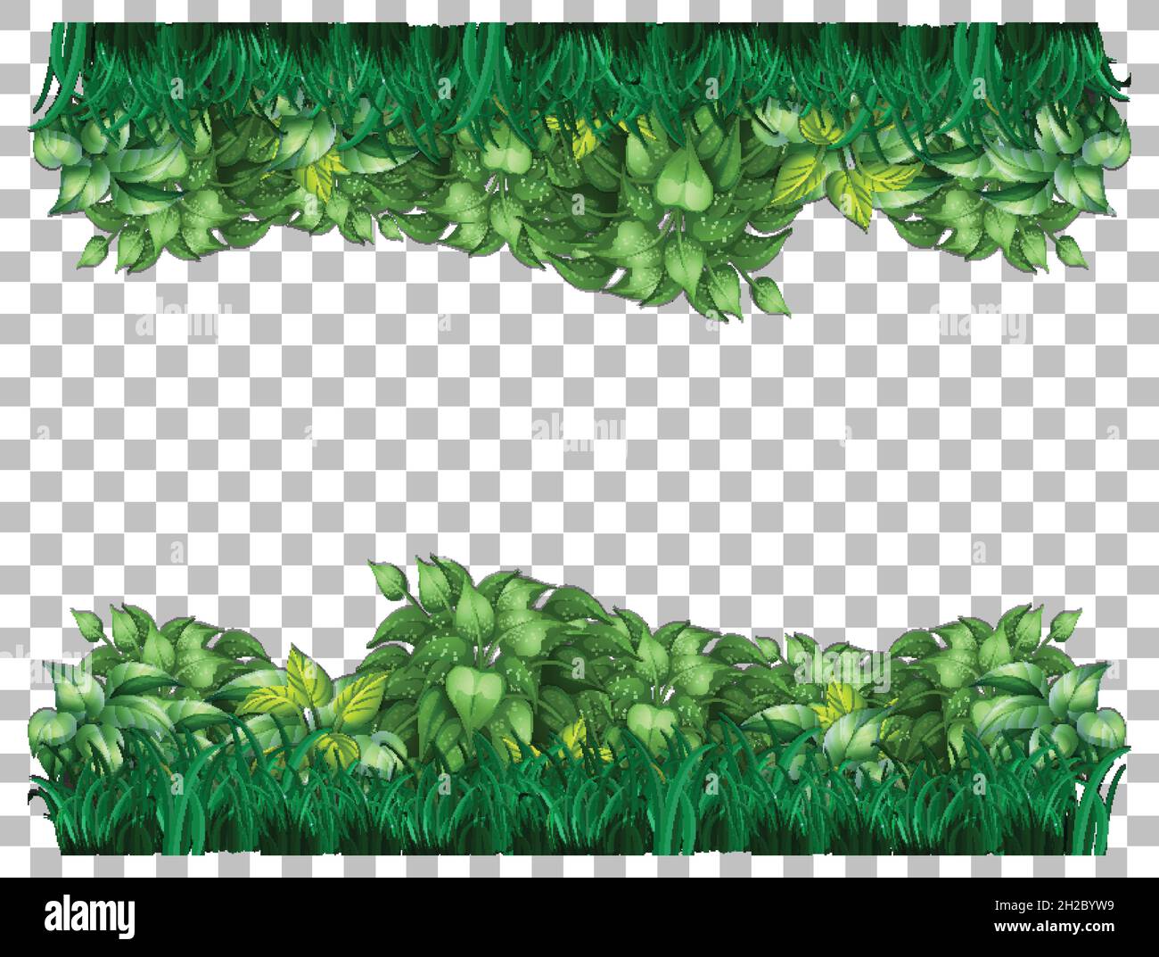 Nature plants frame transparent background illustration Stock Vector ...