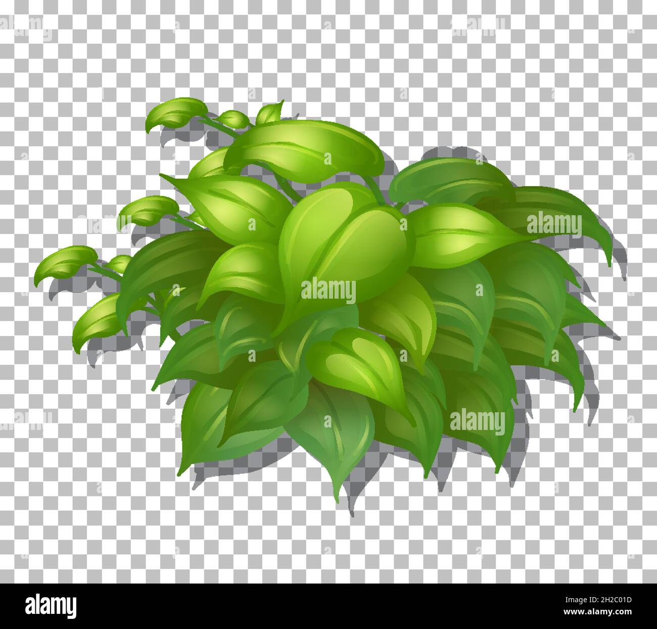 Tropical plant on transparent background illustration Stock Vector ...
