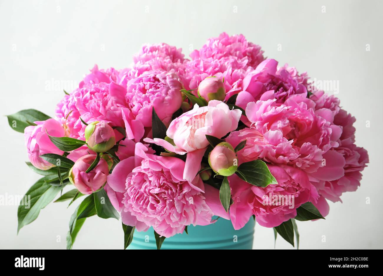 Bucket with beautiful peony flowers on light background Stock Photo - Alamy