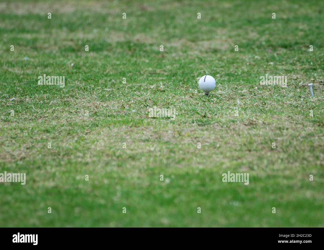 Golf ball on course vertical hi-res stock photography and images - Alamy