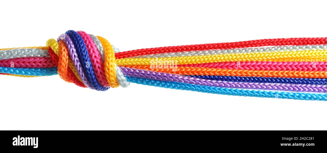 Colorful ropes tied together with knot on white background. Unity ...
