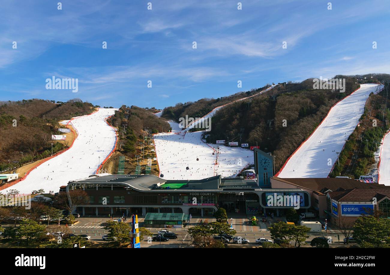 Gangwon-do,Korea-January 4,2016: Daemyung Vivaldi Park ski resorts ...