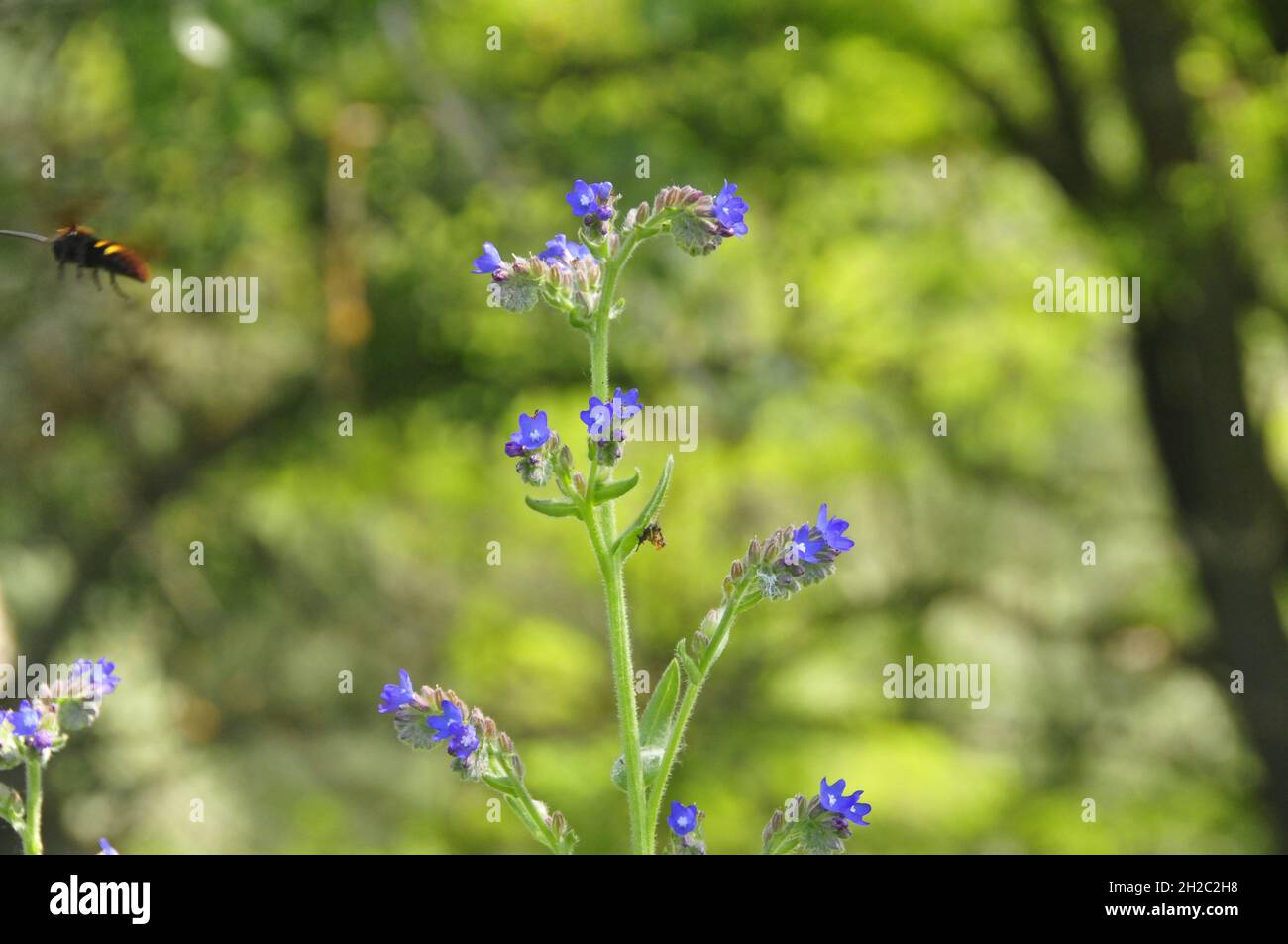Touch colorful stones hi-res stock photography and images - Alamy