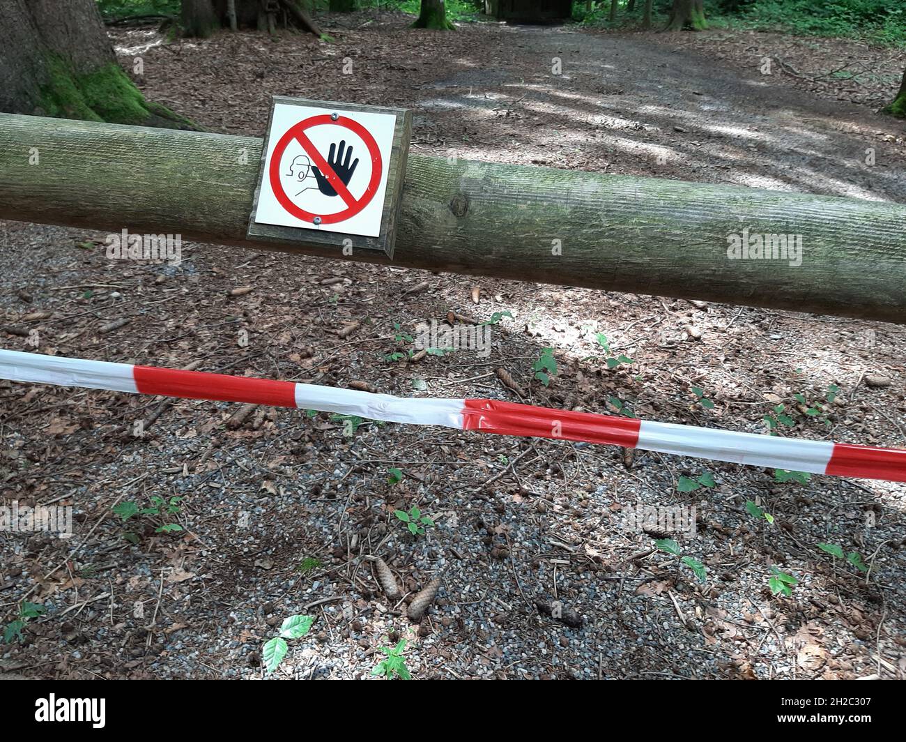 barrier for forest works, Germany Stock Photo - Alamy