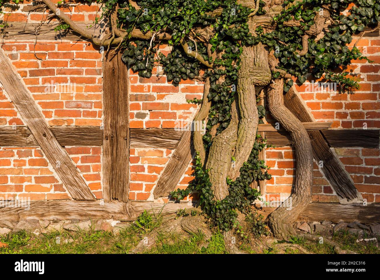 Horizontal timber cladding hi-res stock photography and images - Alamy