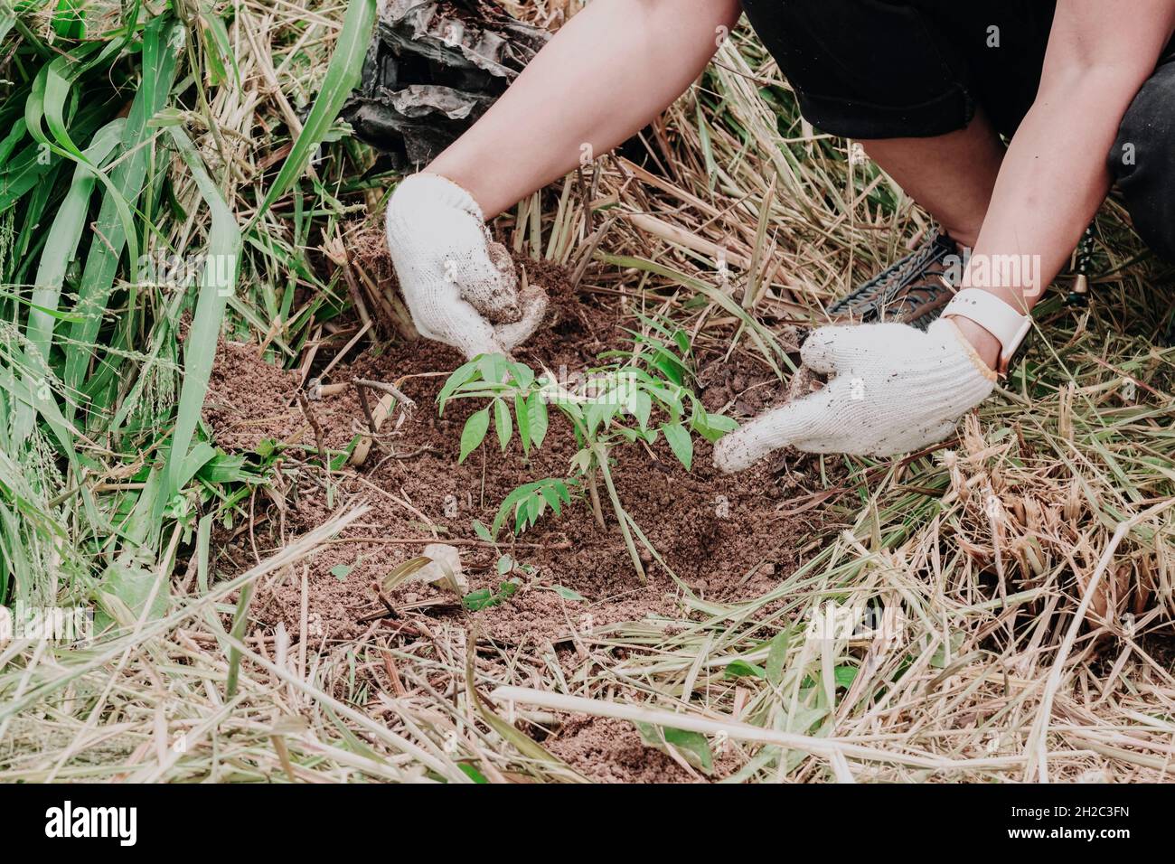 Wearing white cloth hi-res stock photography and images - Alamy